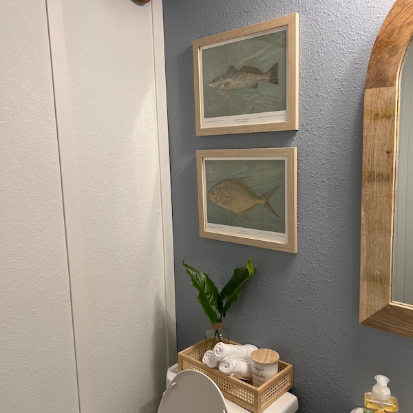 Saltwater Fish Art Print Collection: Set of 6 Vibrant Ocean Paintings ...