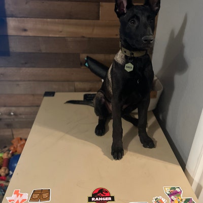 Alabama Sticker Alabama Tag Sticker License Plate Sticker - Etsy