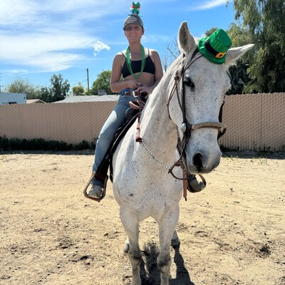 Crinet Crest of Neck Foam Armor for Horses or Ponies Criniere Medieval ...