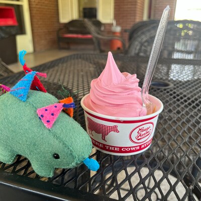 Night Sky Manta Ray Plushie Stuffy Felt Sting Ray Star - Etsy