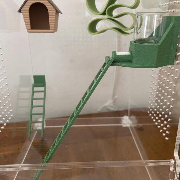 Custom Jumping Spider Enclosure From Kritter Kribs With Magnetic ...