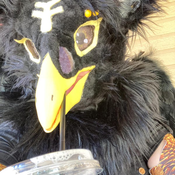 Raven Bird Skull Corvus Bone Skull Mask - Movable Moving Hinge Jaw- 3D ...