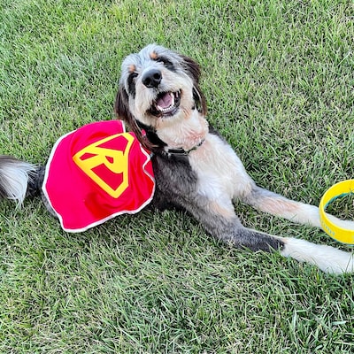 Personalized Lightning Bolt Superhero Costume Set Custom - Etsy