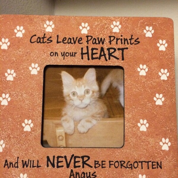 Personalized Pet Cat Memorial Loss of Pet Loss Gift Cat Death Frame Cat ...