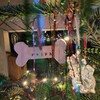 Personalised Dog Bone Clay Tree Decoration, Pet Christmas Decoration ...