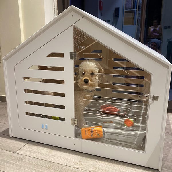 Fully Transparent Modern Dog and Cat Crate With Acrylic Sides Petso ...