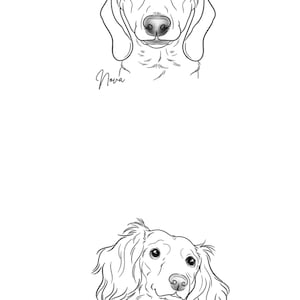 Dog Outline, Custom Line Drawing, Pet Portrait Full Body, Inked Line ...