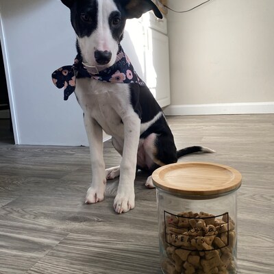 University of Virginia Gift, University of Virginia, UVA, UVA Grad Gift ...