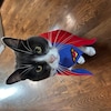 Supercat Costume for Cats, Super Hero Cape, Cat Costume, Super Cat ...