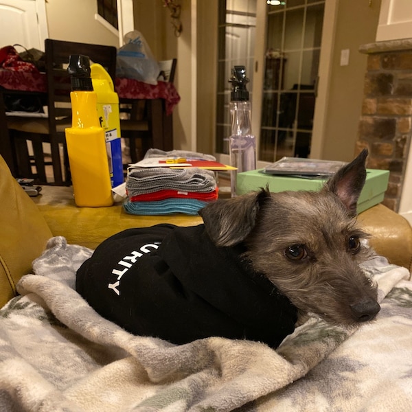 SECURITY Dog Sweatshirt Hoodie - Dog Sweater - Dog Jumper - Printed Dog ...
