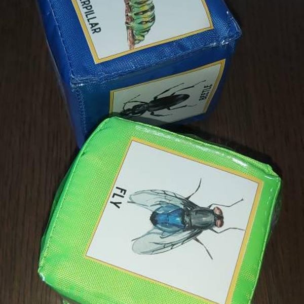 Anatomy of a Butterfly • Montessori Printable • Butterfly Study • Busy ...