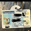 Texas Driver Dog Id Tag Personalized License, Durable Dog Tag, Double ...