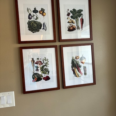 Vintage Bird and Botanical Collage Print Set No. 12, Botanical Art ...