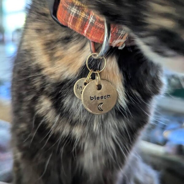 Cat Tag, Cat ID Tag, Small Pet Tag, Cat Name Tag, Microchipped Tag ...