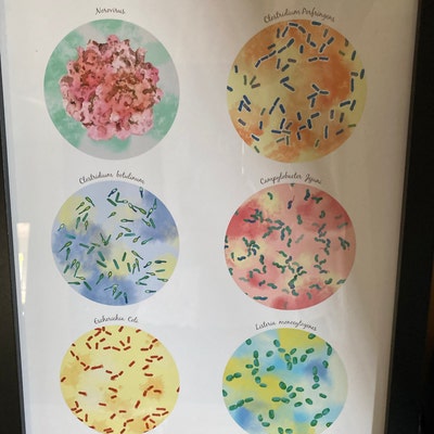 Foodborne Pathogens Collection Poster, Bacteria Science Art ...