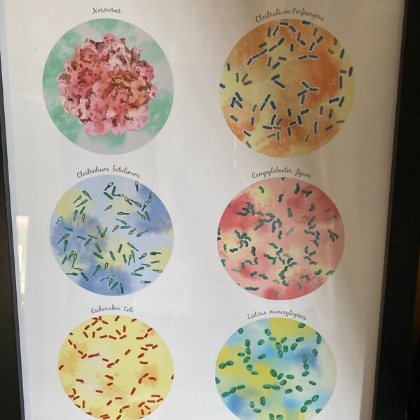 Foodborne Pathogens Collection Poster, Bacteria Science Art ...