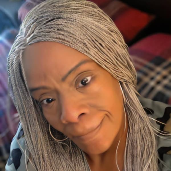 Elegantwigs 26" Braided Lace Frontal Gray Cornrow Wig *ready to Ship ...