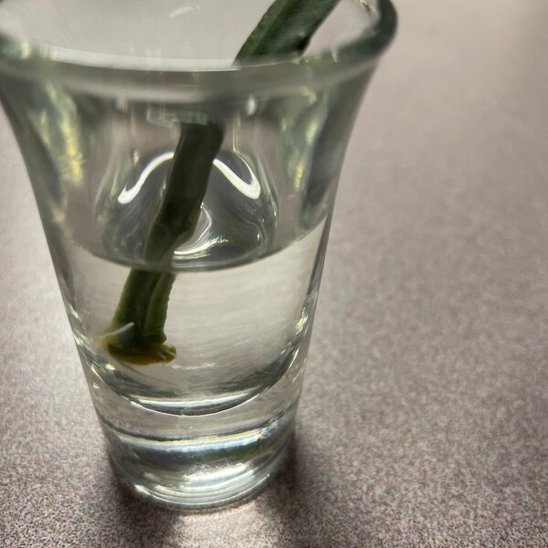 Ultimate Book Club Bundle, 8 Printable PDF Download, Book Log ...