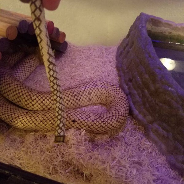 PDF Pattern for Beaded Crochet Bracelet - Seed Bead Crochet Rope ...