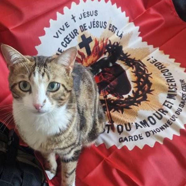 PRINTABLE, Our Lady of Champion, Our Lady of Good Help, Baritus ...