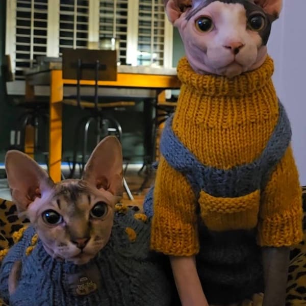 Sphynx Cat Sweater and Hat Set Hand Knit Cat Jumpsuit Hairless Cat Jumper and Beanie Set Cat ...