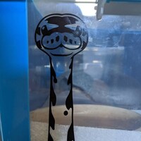 Peeking Ball Python Decal Periscoping Snake Serpent Boa - Etsy