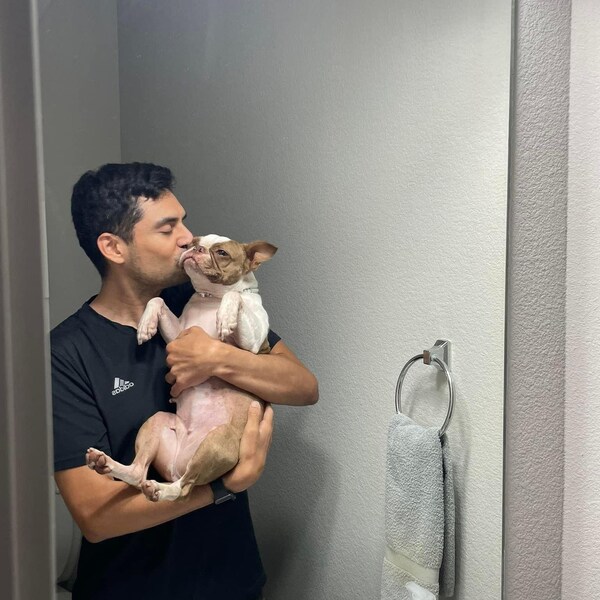 Weiße Perlenkette für Hunde, Perlenhalsband für Hunde - Etsy.de