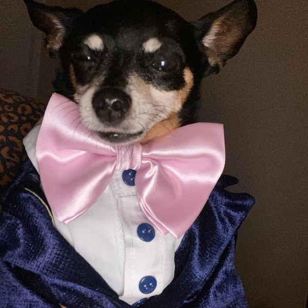 Dog Outfit, Designer Dog Clothes, Dog Wedding Attire,dog Ring Bearer ...