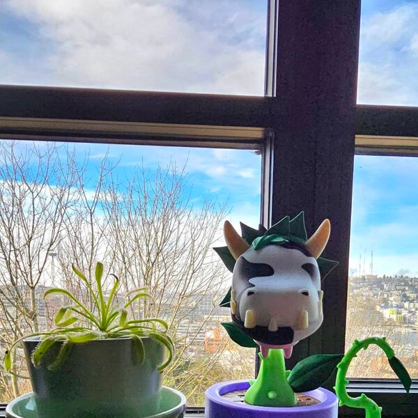 Cow Plant - Etsy