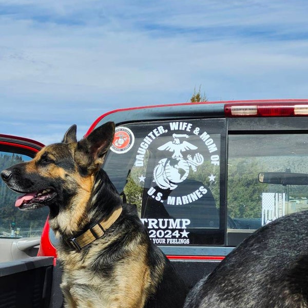 USMC Marine Corps Crossed Rifles and Punisher Skull W/ USA Flag Pattern ...