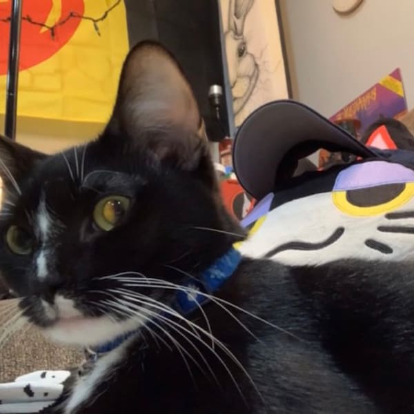 Punchy Animal Crossing Animal Villagers Punchy Cat Pillow New Leaf ...