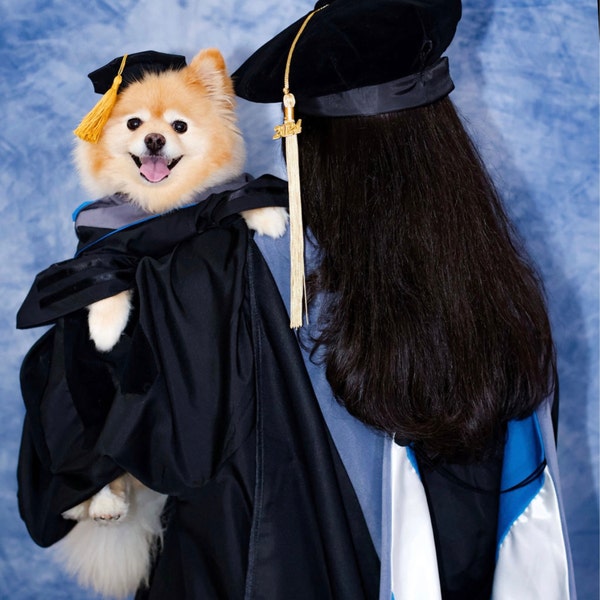 Dog Graduation Cap and Gown, Cat Graduation Cap and Gown, Pet ...