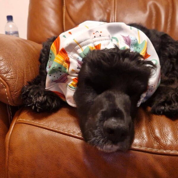 Snood for Cocker Spaniel - Etsy