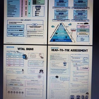 Nursing School Notes Success Bundle: Fundamentals, Medsurg ...