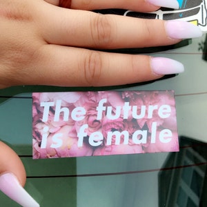 Feminist Vinyl Sticker the Future is Female Girl Power Pink Illustrated ...