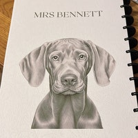 Dove Fine Line Bird Drawing, Printable Flying Pigeon for Sticker ...