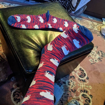 Pierogi Socks, Dyngus Day Socks, Buffalo NY, Polish Christmas Gift ...
