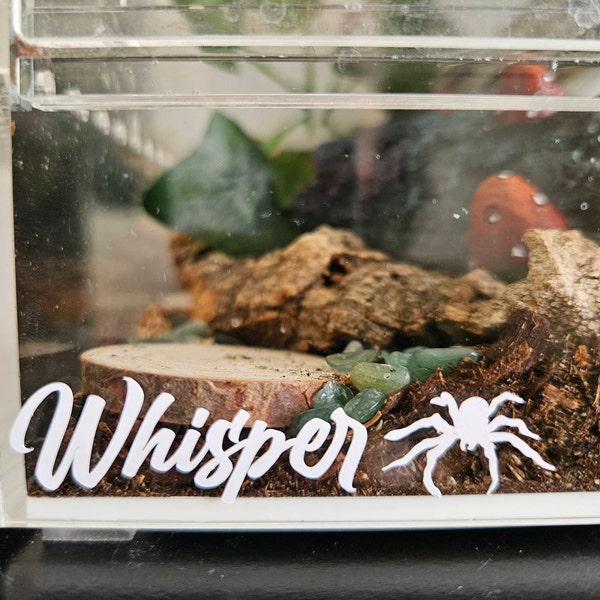 Bearded Dragon Candy Corn Costume Sweater, Halloween Lizard Sweater ...