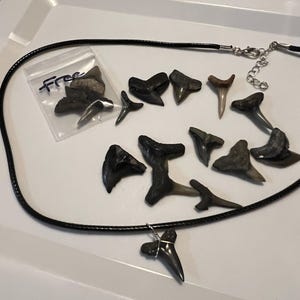 Make Yer Own Shark Art Kit Reef Shark 8x10 - Etsy