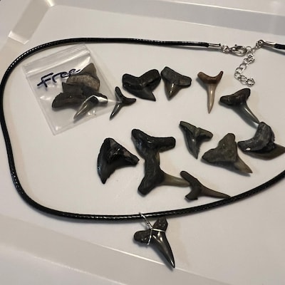 Make Yer Own Shark Art Kit Reef Shark 8x10 - Etsy