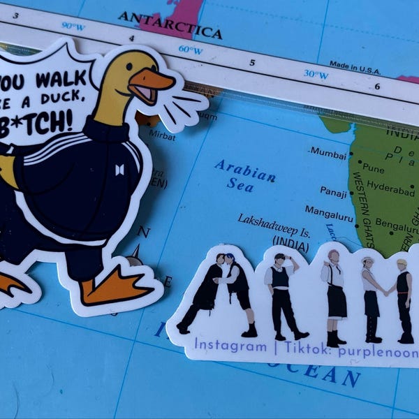 Joonie Duck Sticker: Kpop You Walk Like a Duck B*tch Stickers - Etsy
