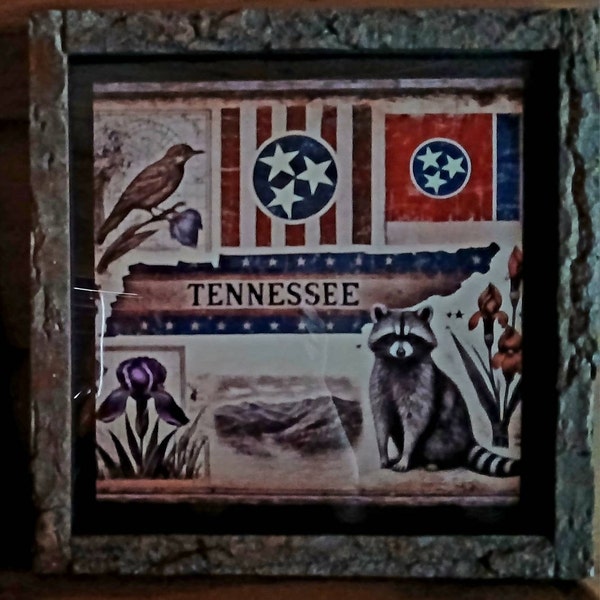 Rustic Sea Turtle Wall Art, Coastal Beach House Metal Sign, Vintage ...