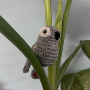 Parakeet Crochet Pattern - Etsy