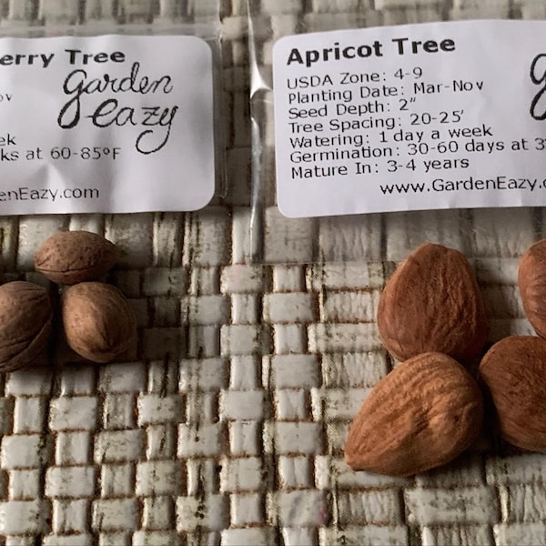 Red Cedar Tree Seeds - Heirloom, Open Pollinated, Non GMO - Grow ...