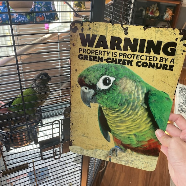 Warning Green Cheek Conure Sign | Parrot Warning Sign | Green Cheek ...
