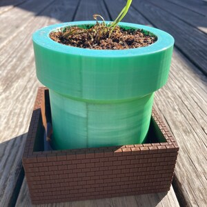 Rock Lobster Articulated Fidget Toy Dwayne Johnson the Rock - Etsy