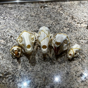 1PCS Hand-made Polished Ox Horn Skull Pure Natural Horns DIY Crafts ...