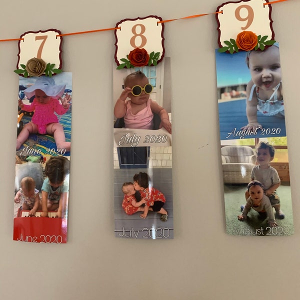 12 Month Photo Banner, 1st Birthday Photo Banner, Monthly Photo Banner ...