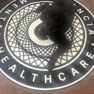 Abstract Rug, Bold Geometric Design, Eye-catching Area Rug, Statement ...