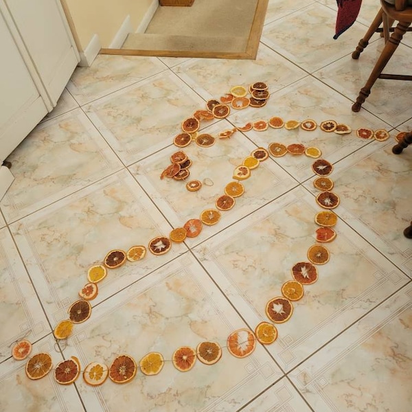 Dried Citrus Garland: Grapefruit, Lemon, Lime, Blood Orange & Navel ...